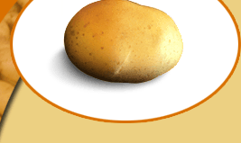 Potato Domain Names - Potato Domains